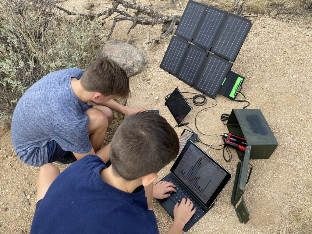 A Bird Uses Raspberry Pi To Identify Different Species Singing At The Same Time Raspberry Pi