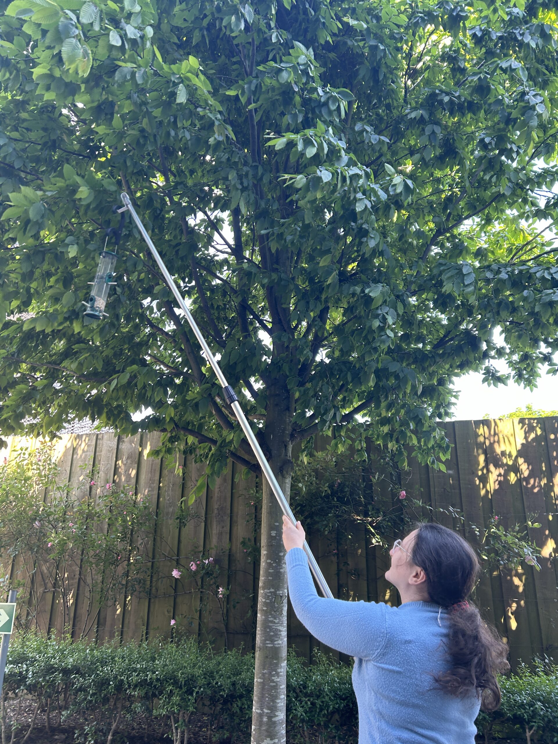 Дружба з птахами поза межами Pi Towers | Блог Евоком.ЮА