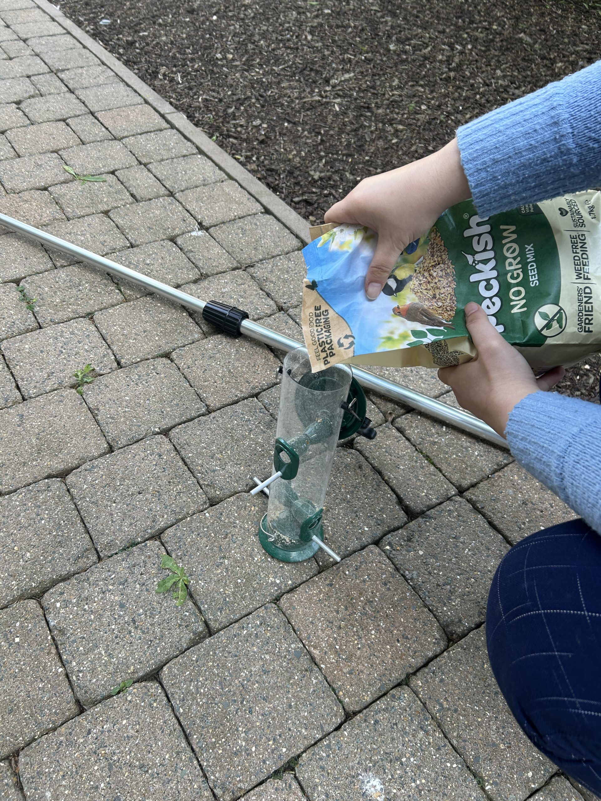 Making friends with birds outside Pi Towers - Raspberry Pi