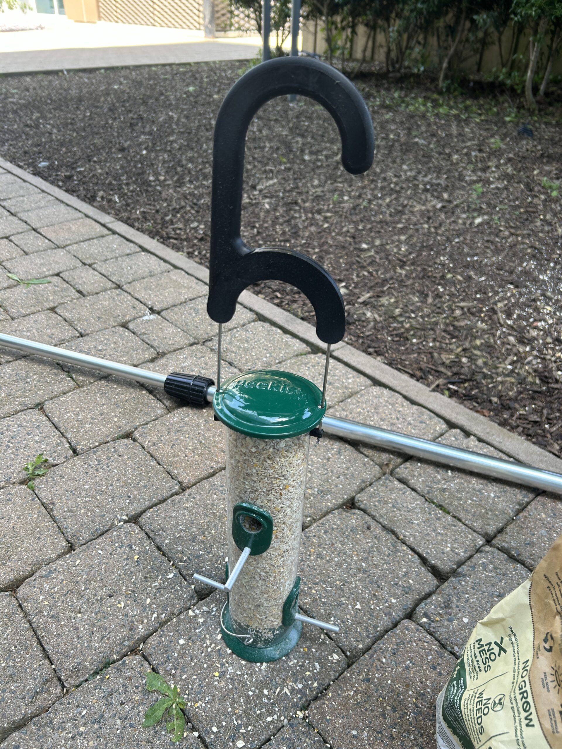 Making friends with birds outside Pi Towers - Raspberry Pi