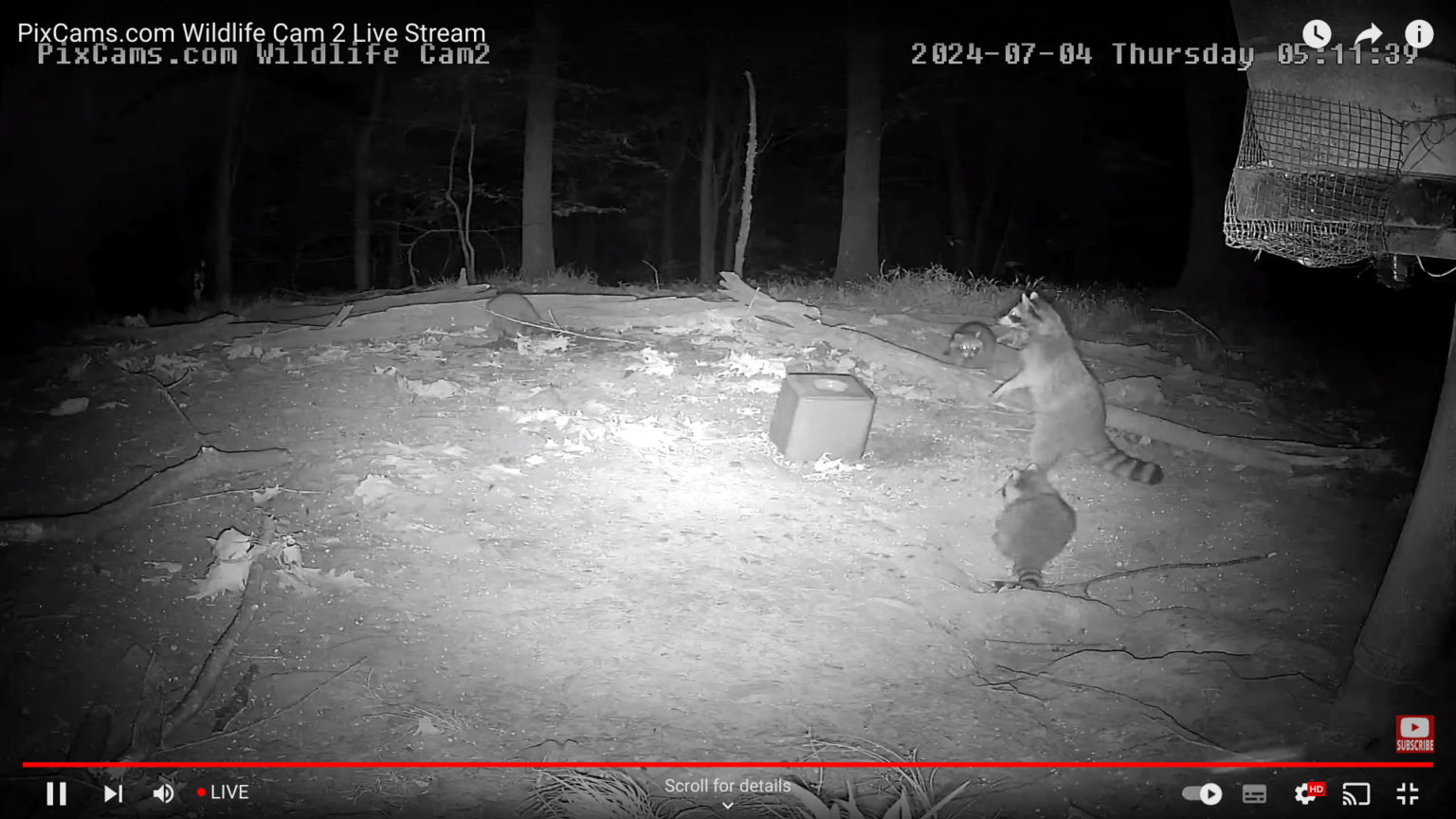 EZ Streamer-Pi lets you live stream from four cameras at once ...