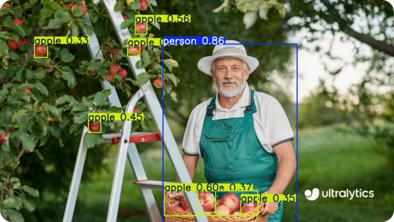 Deploying Ultralytics Yolo Models On Raspberry Pi Devices Raspberry Pi