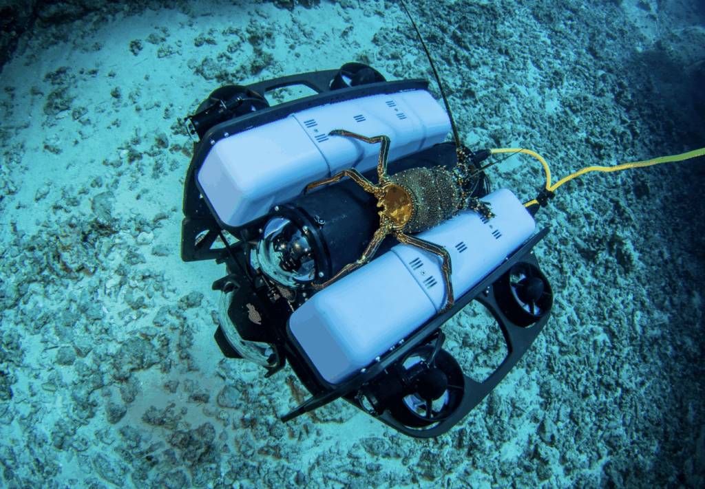 Blue Robotics ocean ROVs - Raspberry Pi