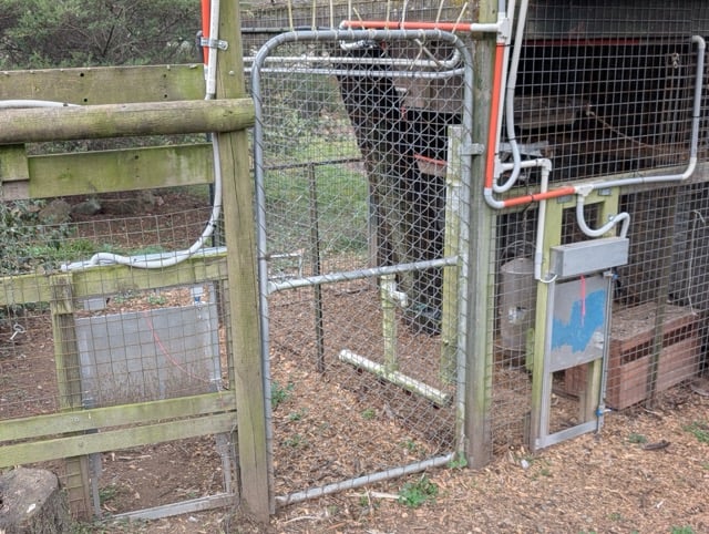 Ydtechnologious: SmartCoop: Controlling chickens with Java