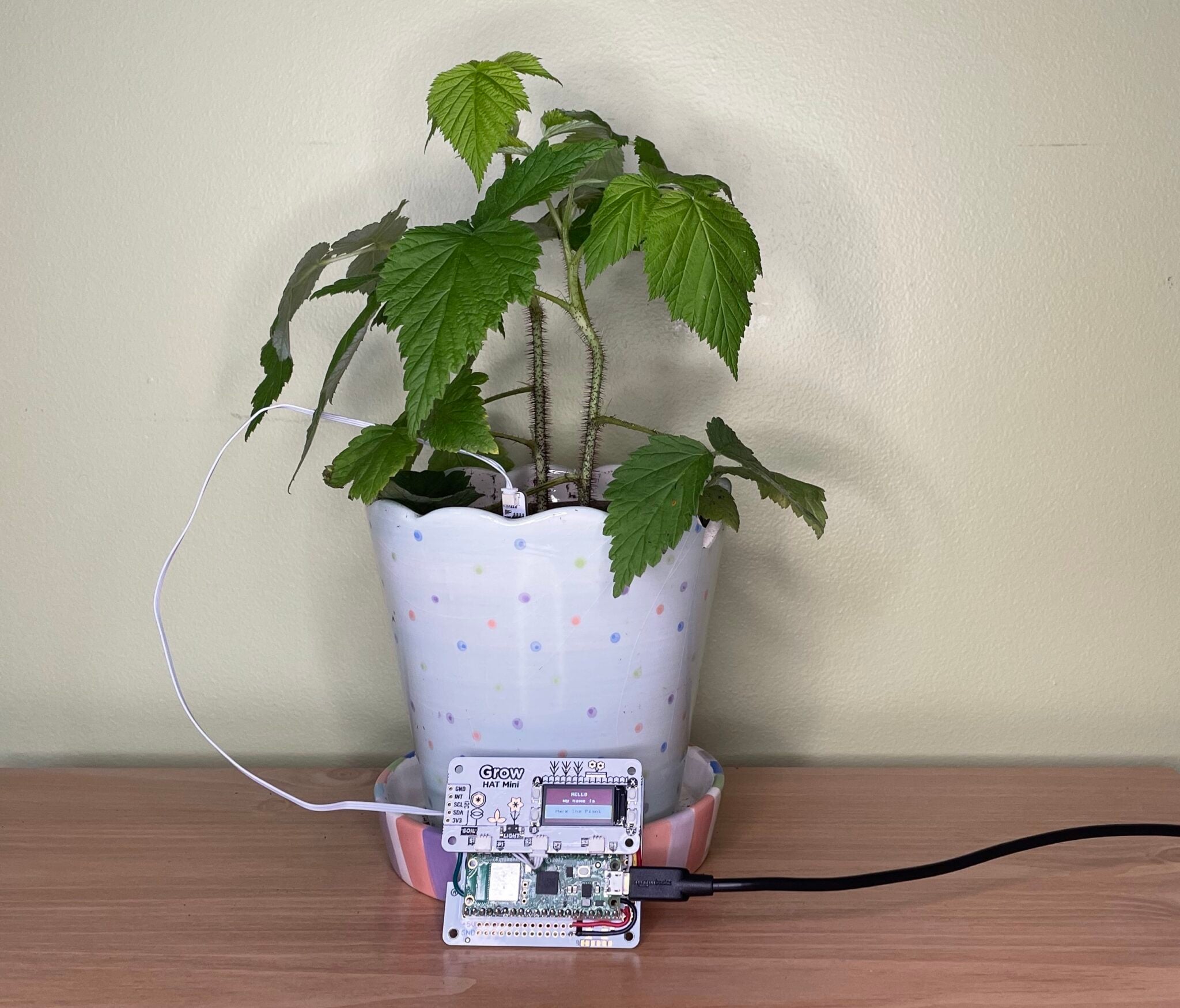 Raspberry Pi Pico projects - Raspberry Pi