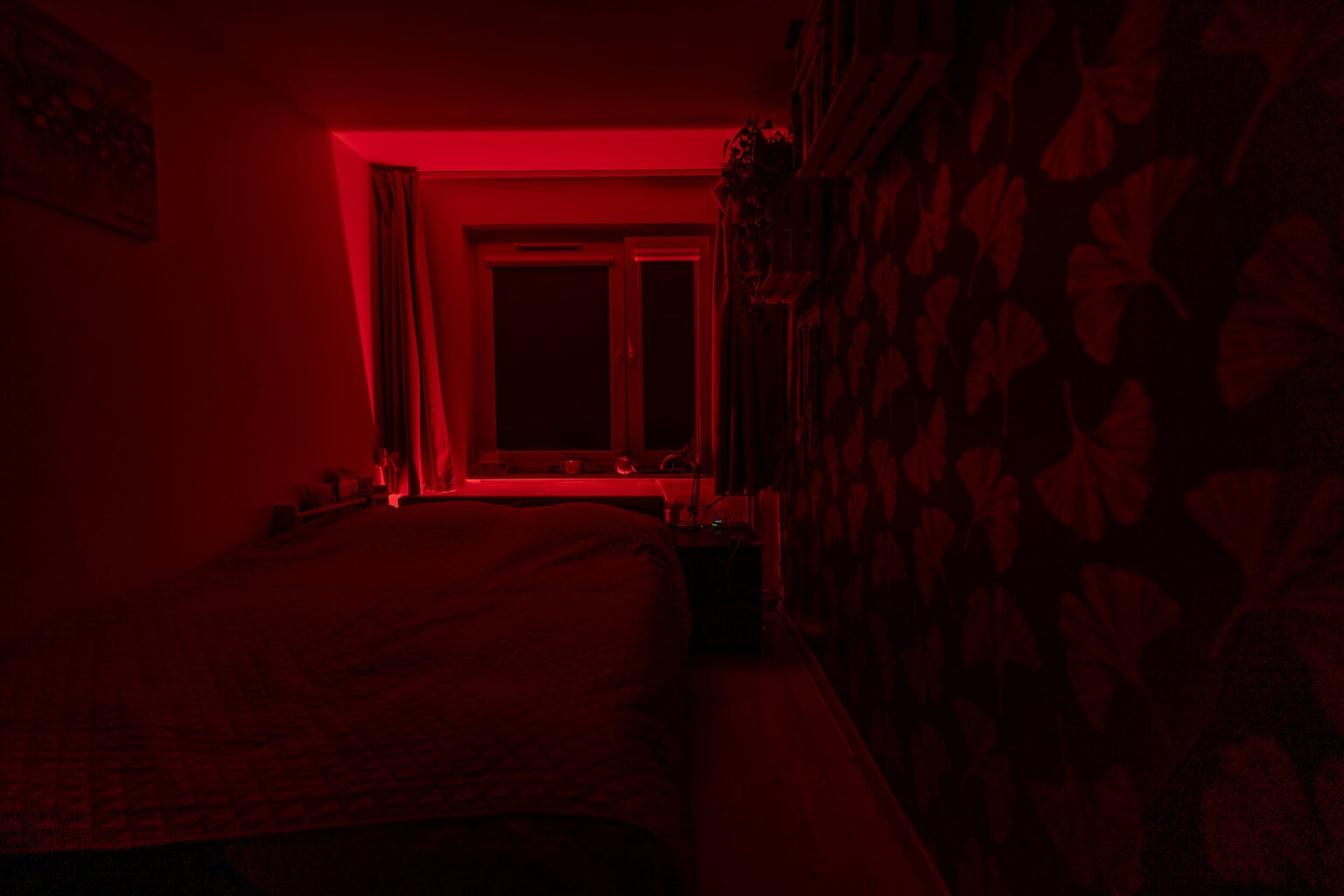 Raspberry Pi Pico–powered sunrise alarm clock | Блог Евоком.ЮА